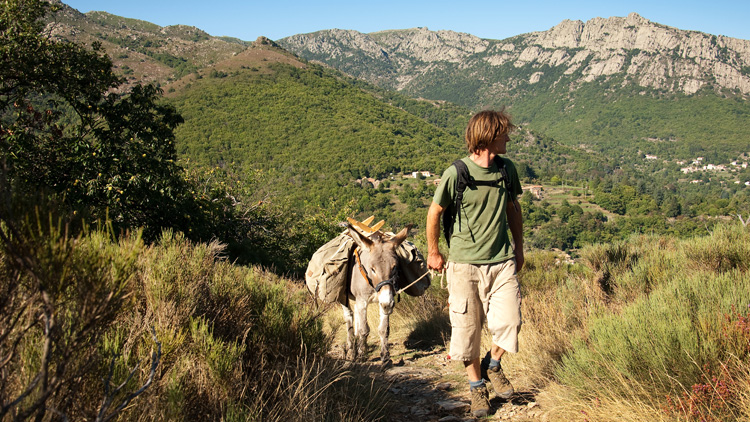Le Parc National des Cévennes Aigoual Causse de Sauveterre Bois et ...